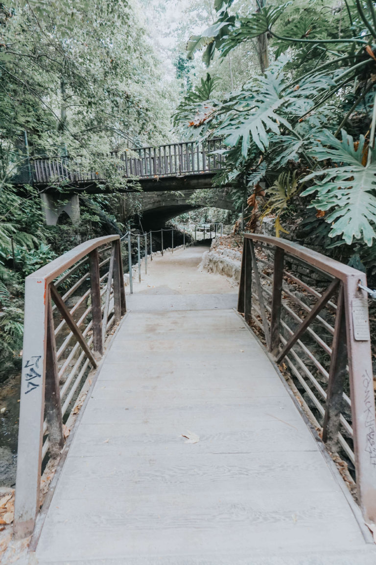 Griffith Park | The Trails Cafe - Twinspiration